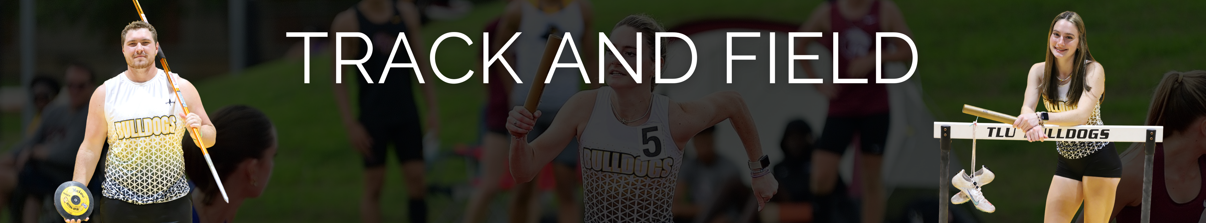 Texas Lutheran University Crowdfunding